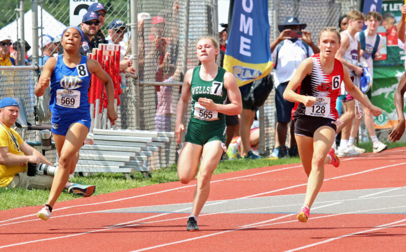Complete results from the PIAA track and field championships | News ...